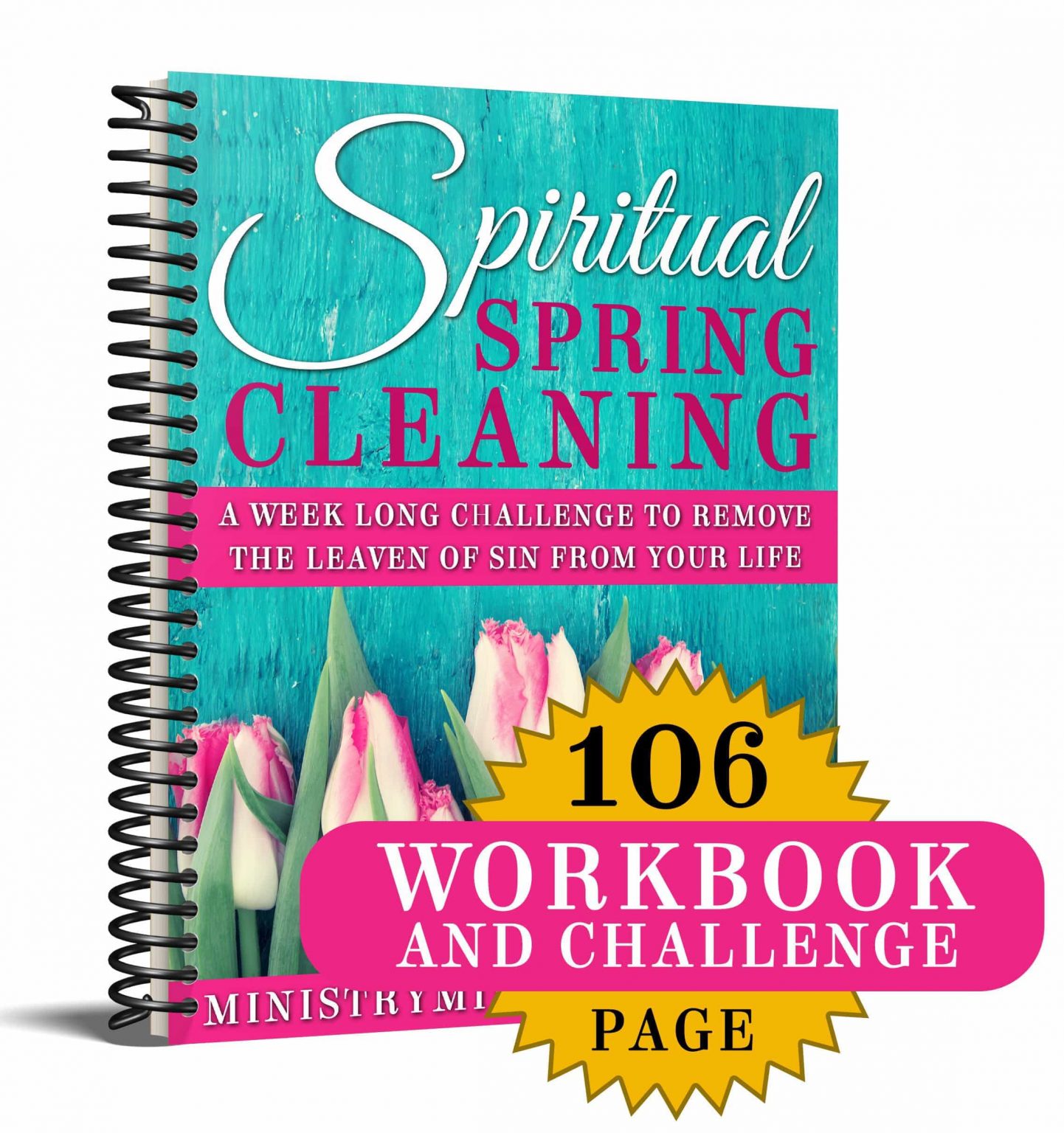 Spiritual Spring Cleaning Challenge Workbook + eKit – Ministry Minded Mom